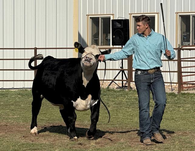 Albany County youth put their best hooves forward in spirited show of ...