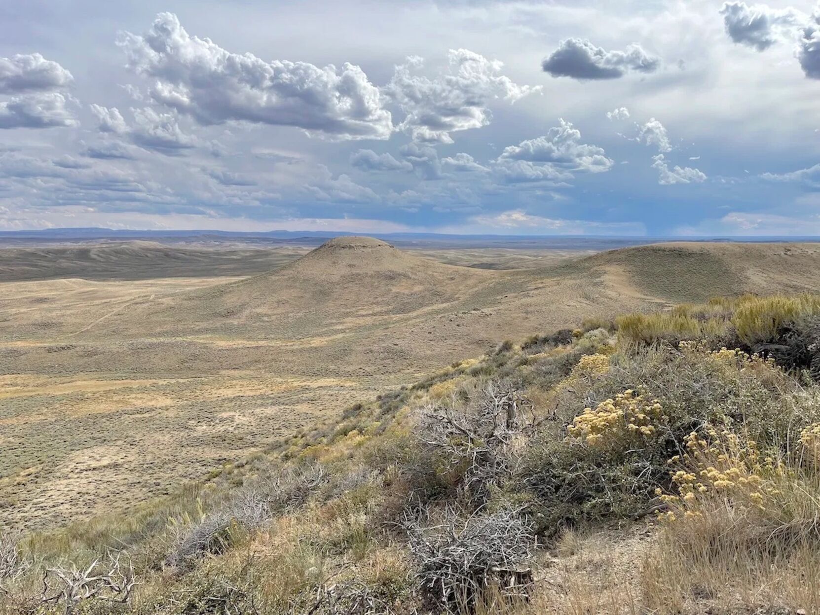 Greater sage-grouse advocates blast new federal plan endorsed by ...