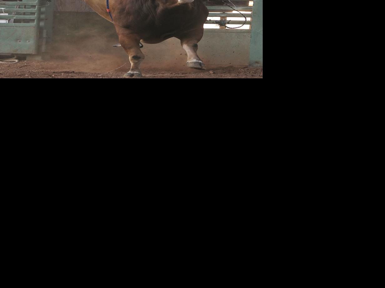 Mr. T Xtreme Bull Riding continues tradition for a wild ride from the ...