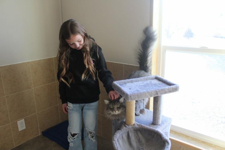 Beyond the Kennel: How volunteers can change a life at local animal ...