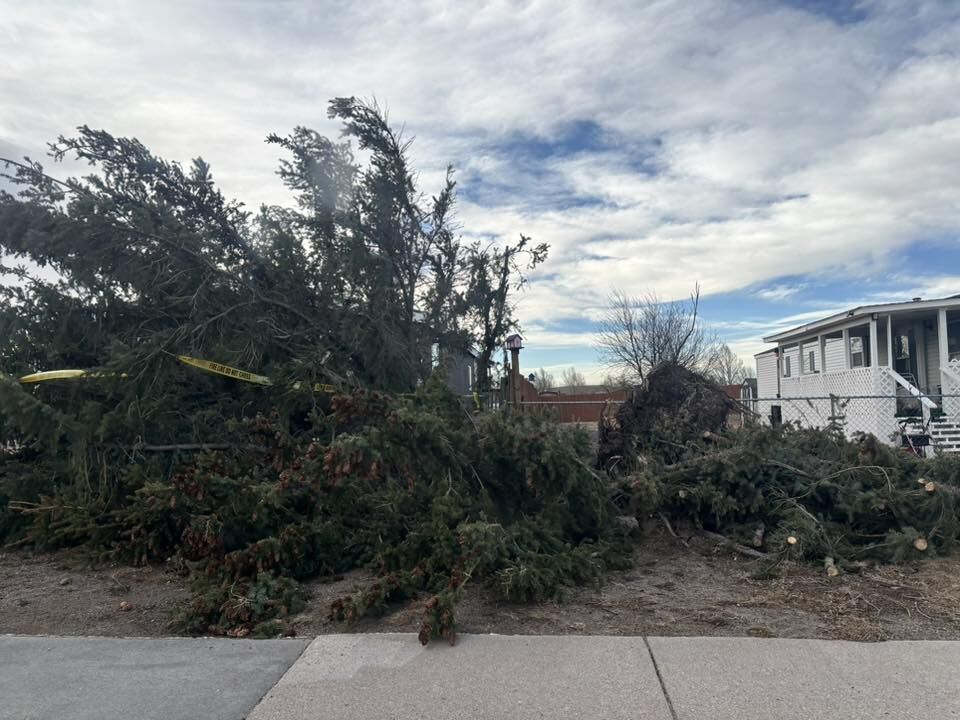 Cheyenne residents impacted by wind event can get clean-up help | News ...