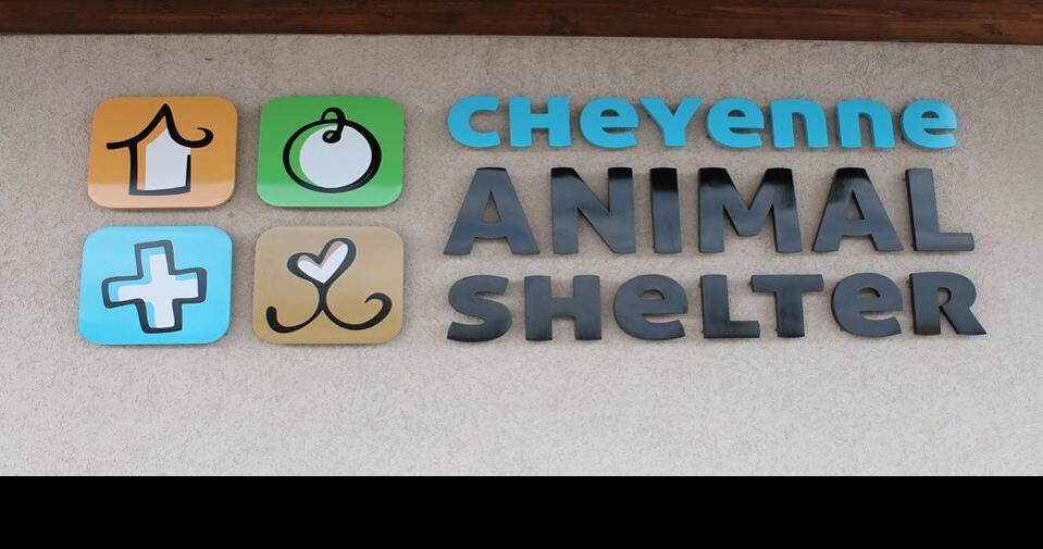 Cheyenne Animal Shelter announces change of leadership | Cheyenne ...