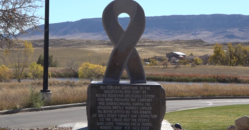 "You can survive," Following the story of a two-time breast cancer ...