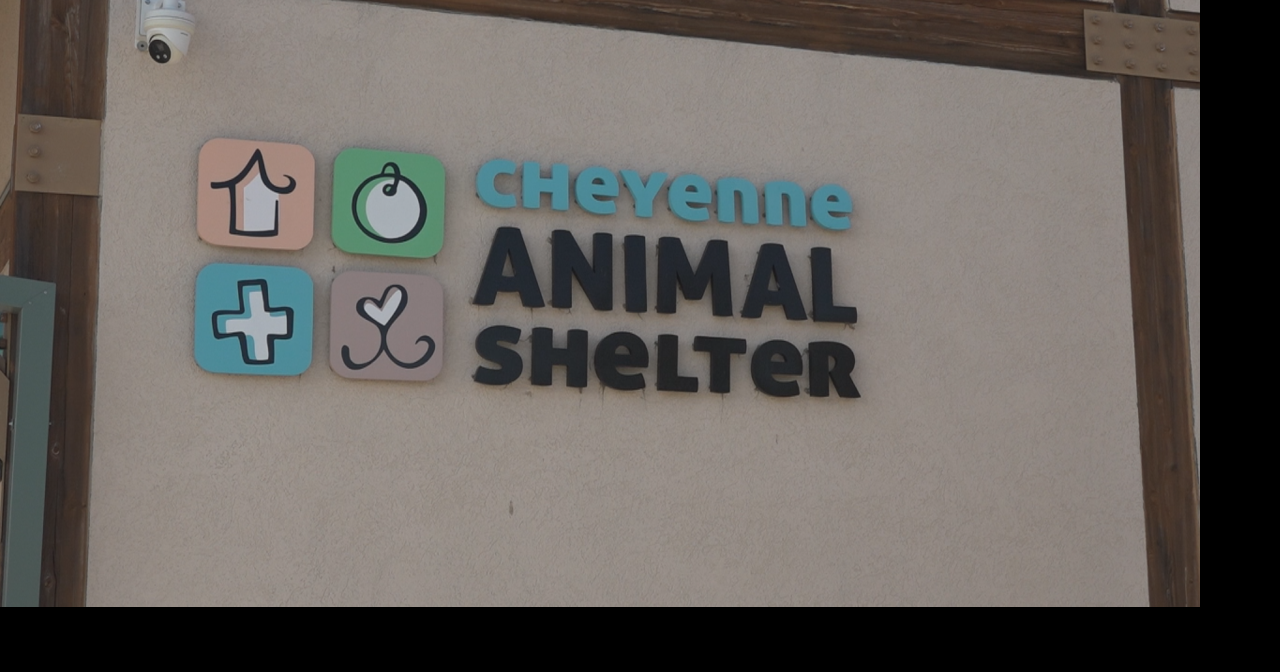Cheyenne Animal Shelter takes in over 100 animals following arrest in ...