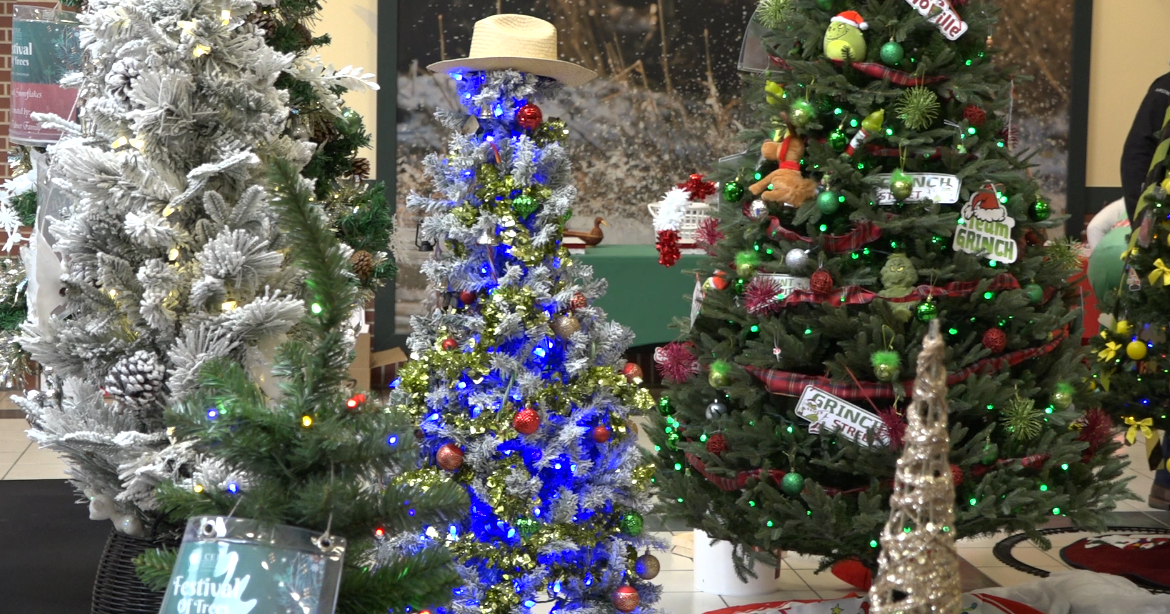 Cowboy State Christmas Expo kicks off at Eastridge Mall | KCWY Station ...