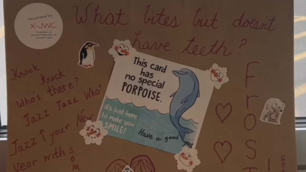 LCSD1 Makes Meals on Wheels Delivery Bag Art | Community ...