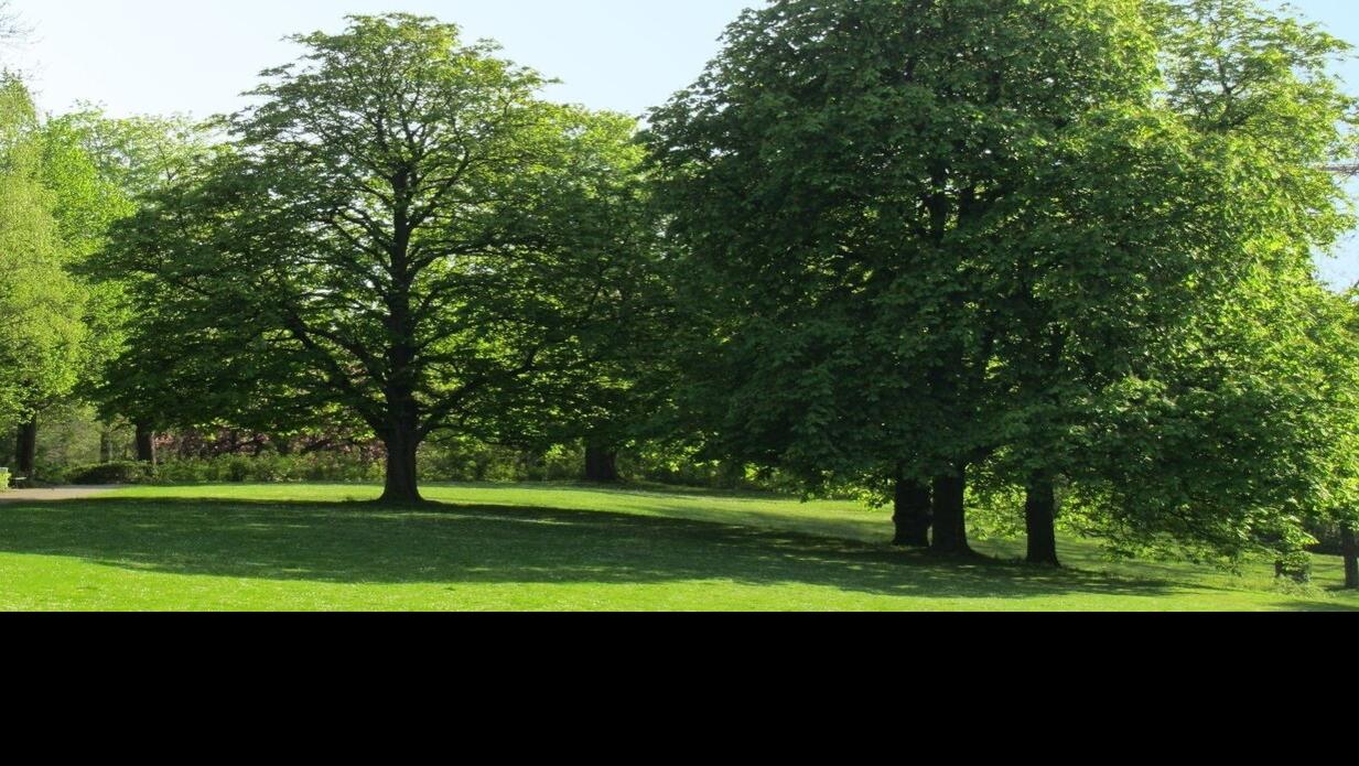 Casper | wyomingnewsnow.tv