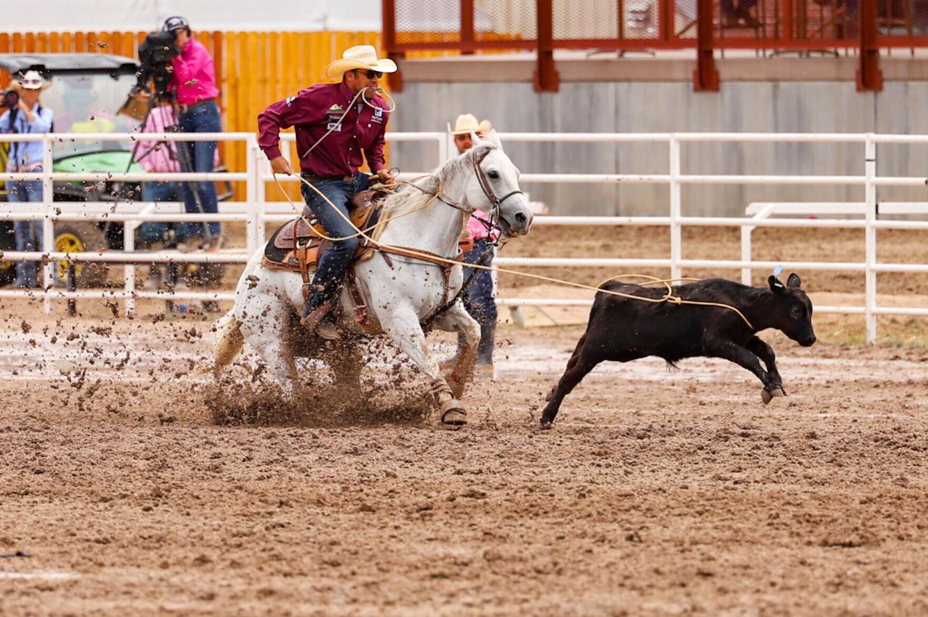 PRCA and Pro Rodeo Hall of Fame may be headed to Cheyenne afterall ...