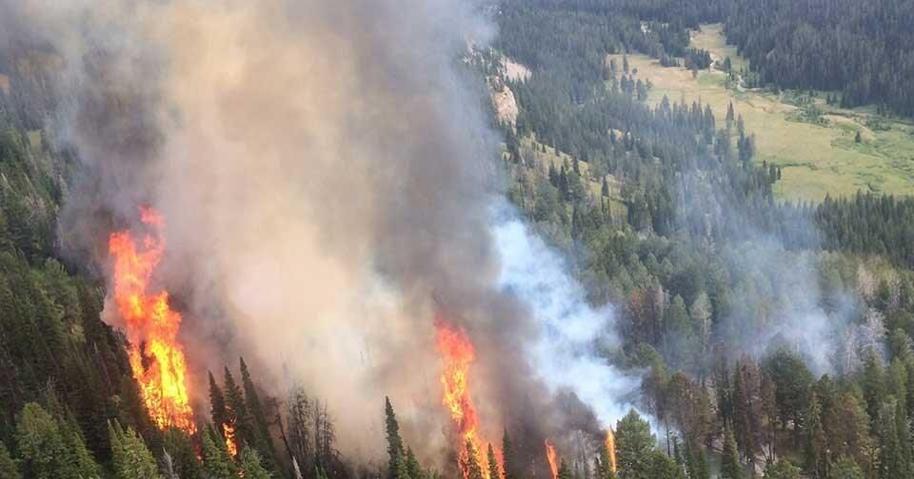 Wildfires burning in Yellowstone and Grand Teton national parks grew some over the weekend ...