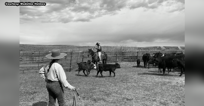 Celebrating National Ag Day with "The World Needs More Cowboys" | KCWY ...