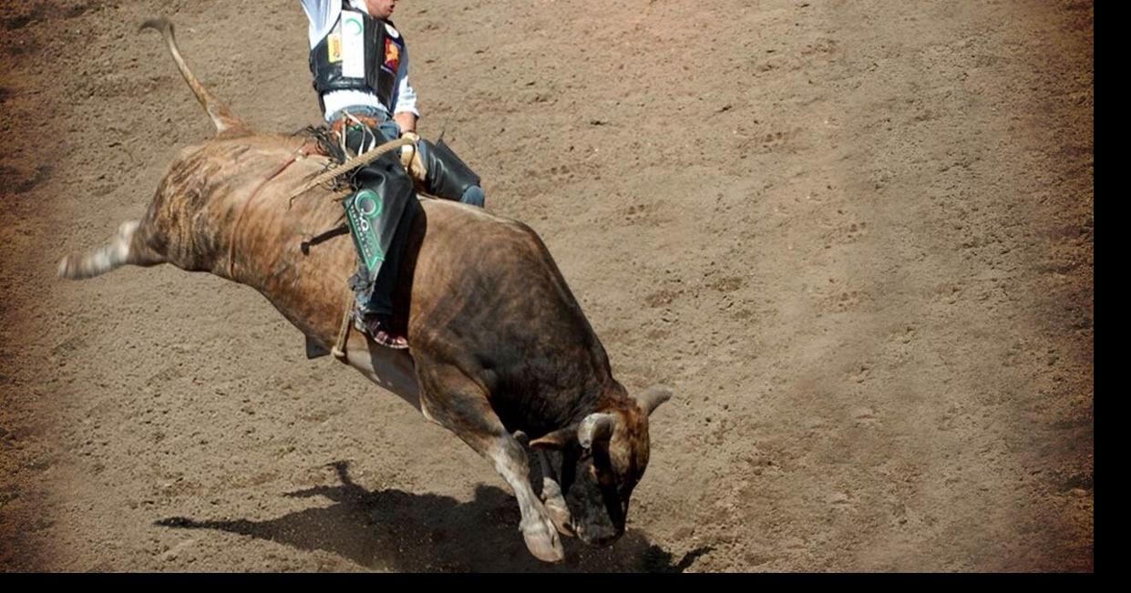 PBR bull rider recovering after injury and surgery | News ...