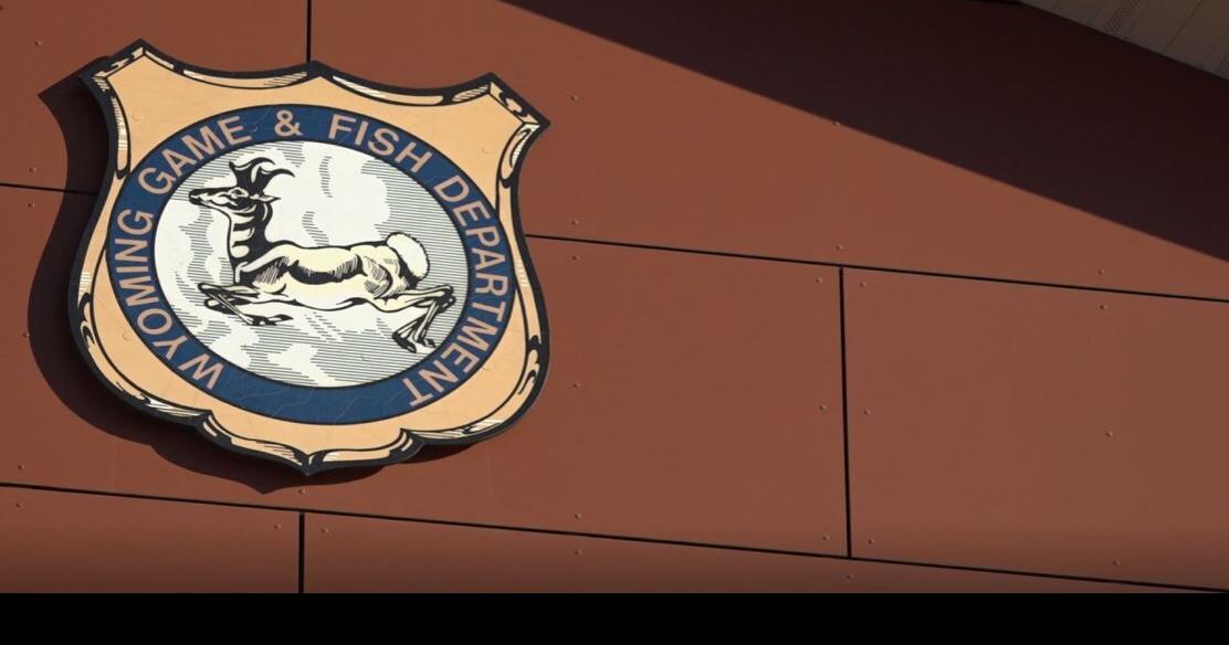 Hiker hospitalized after grizzly bear attack in Francs Peak | State ...