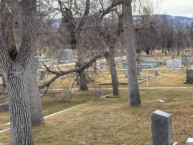 Highland Cemetery closed due to high wind prompting public safety ...