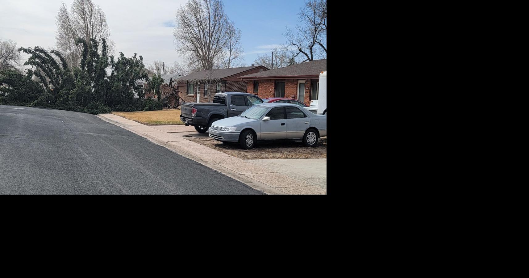 Cheyenne residents impacted by wind event can get clean-up help | News ...