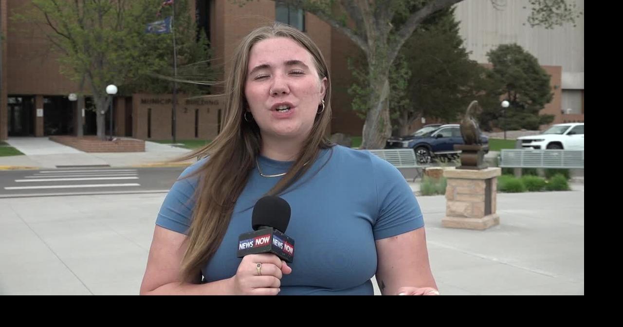 Cheyenne City Council votes down data center moratorium ...