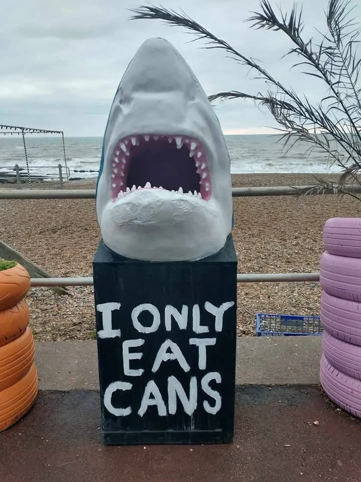 Garbage can fan on mission to find best bins in world | National ...