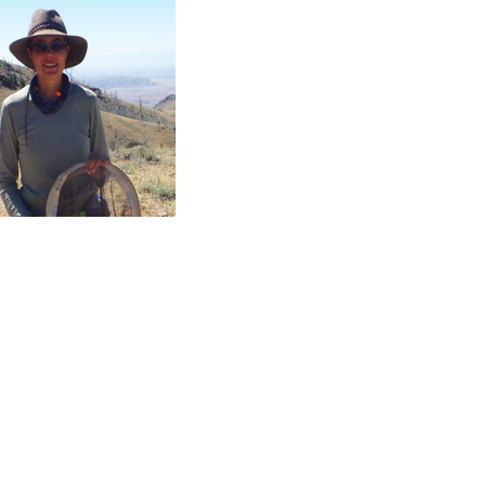 UW Scientist Contributes to Study Documenting Western Bumblebee Decline ...