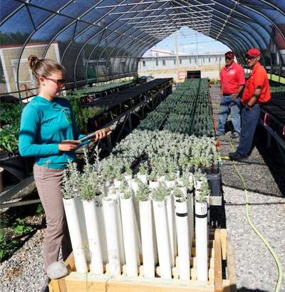 DEQ Intern created Story Map of Sagebrush Restoration Program | News ...