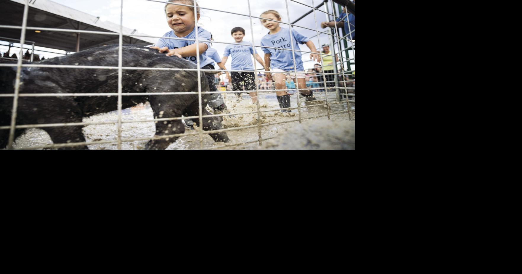 Things come to a head at annual Hog Wrestling | Local News | wyotoday.com