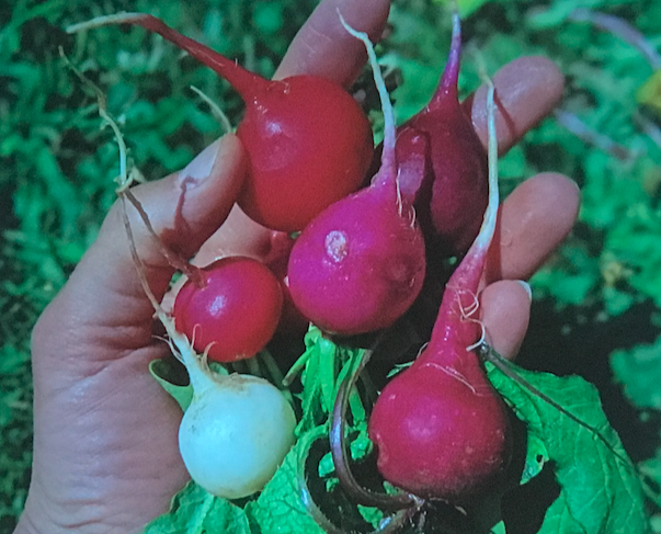 CWC Growing Produce and Farmers at Alpine Science Institute | News ...
