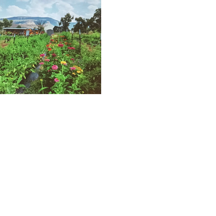 CWC Growing Produce and Farmers at Alpine Science Institute | News ...