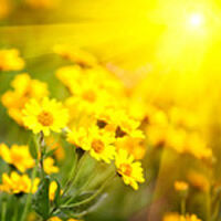 Charlotte Kay Jensen | Obituaries | wyotoday.com