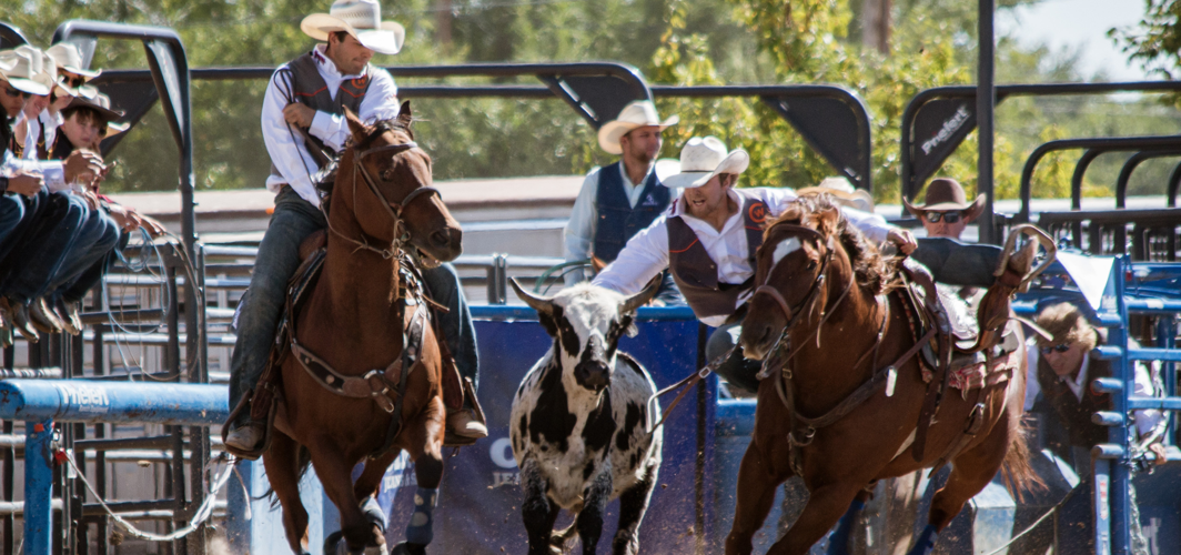 New Ag & Equine Center charging up Rustler Rodeo Team | Sports ...
