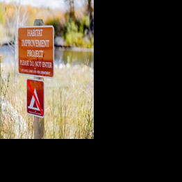 WGFD Invested $13 million in Habitat Projects in 2023 | News | wyotoday.com