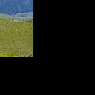 WGFD: Wyoming agricultural producers can now apply for conservation ...