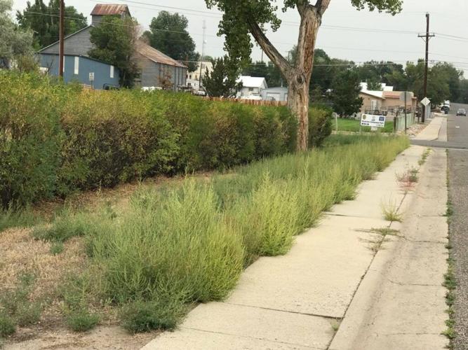 Weeds be Gone: City to crack down on overgrown lots | Local News ...
