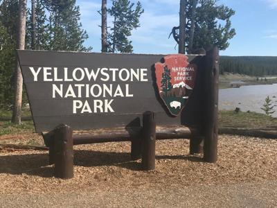 Top 10 things to know about visiting Yellowstone National Park this ...