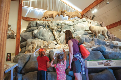 Dubois’ Sheep Center raised $8K at Anniversary Celebration | News ...