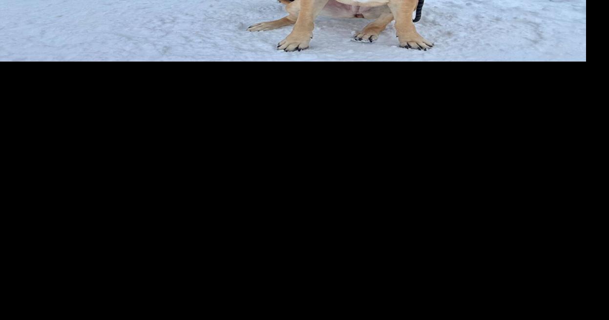 Greater Yellowstone Creative Writing Fellowship Recipient Announced ...