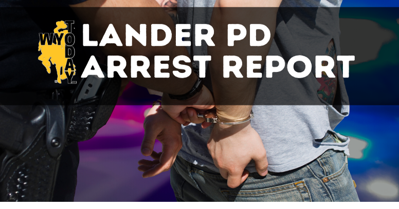 Warrant, Drug Possession and Public Intox arrests | Crime News ...