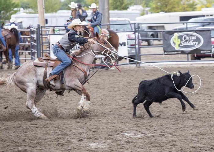 CWC Rodeo Proposed For Documentary Project | News | wyotoday.com