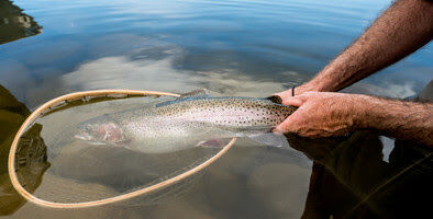 More than 100 anglers completed the Wyoming Cutt-Slam challenge in 2022 ...