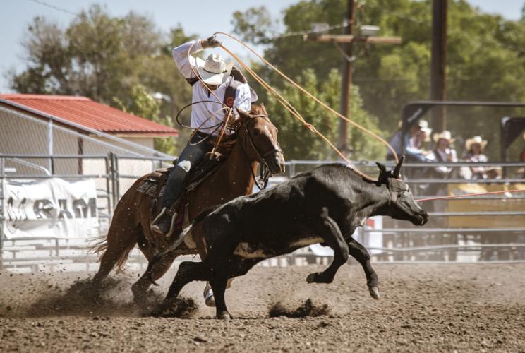 CWC Rustler wrestles into top 20 at CNFR | Sports | wyotoday.com