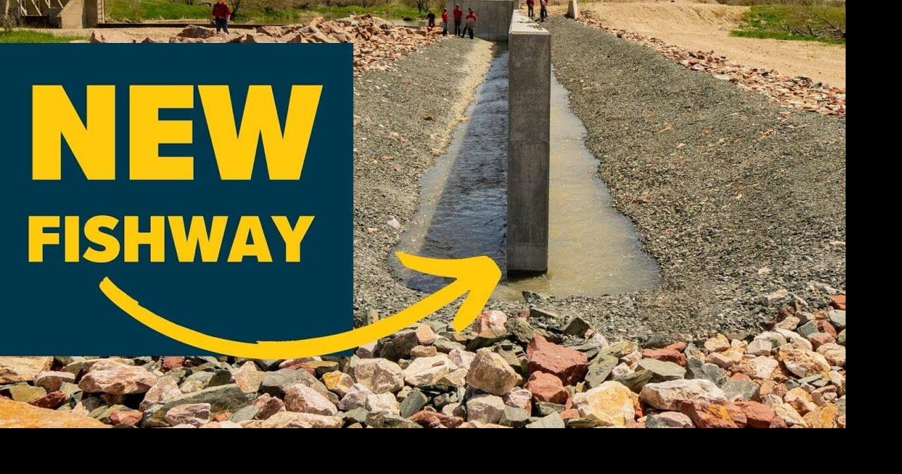 New Fishway Opens 23 Miles of Stream (Aiding 21+ Fish Species ...