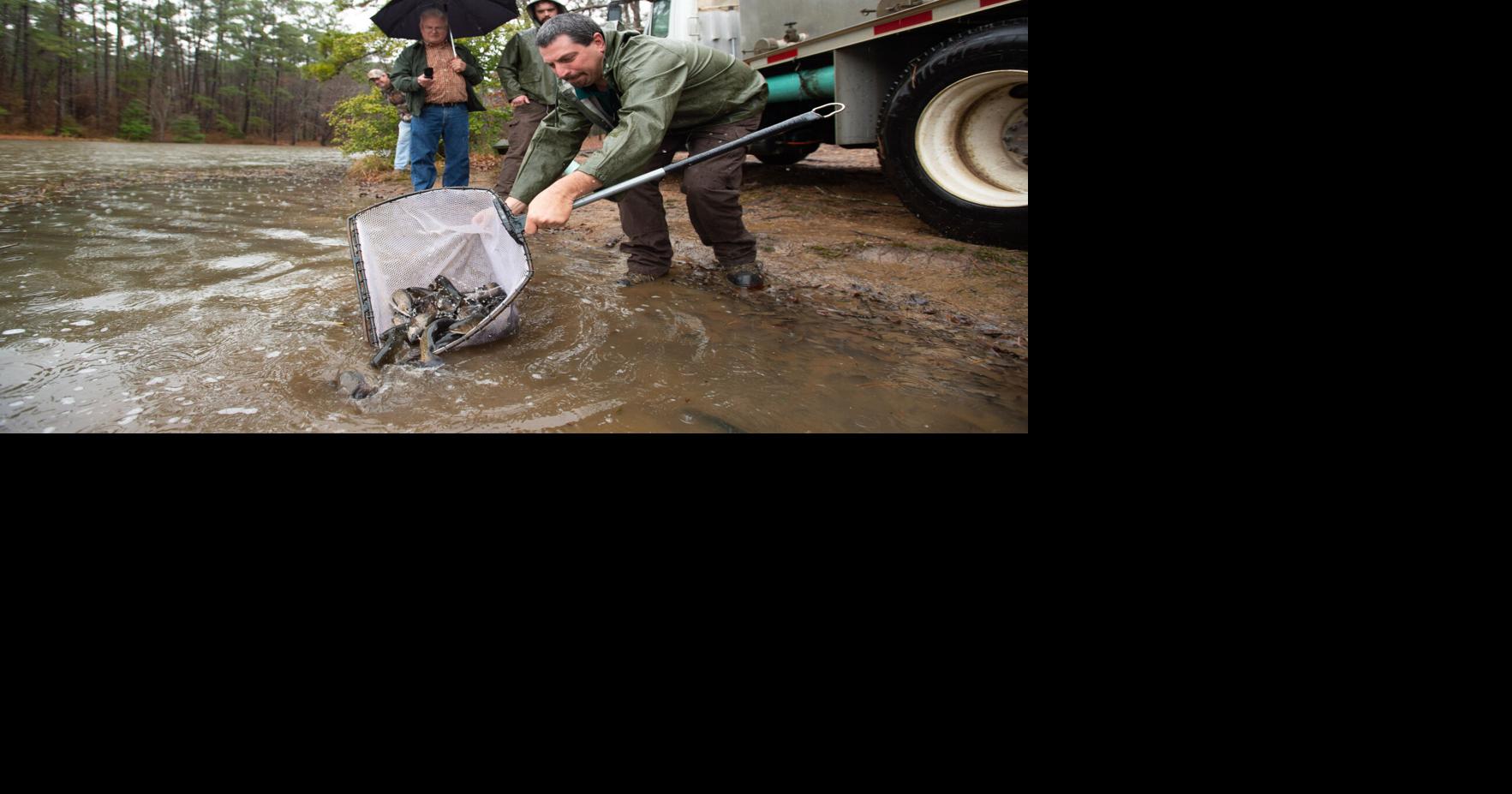 Dates announced for State’s annual winter trout stockings | State ...