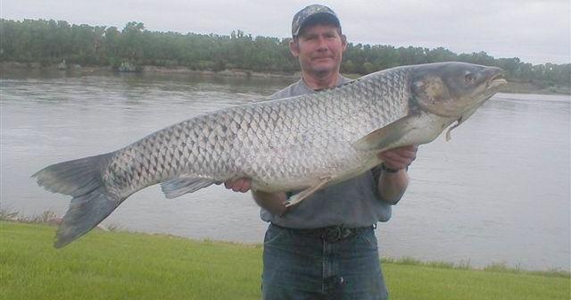 Bow Fishing Has Changed Over The Years | Outdoors | yankton.net