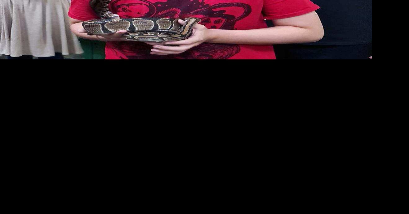 Yankton Community Library Looks Back At 2025 Activities | Community ...