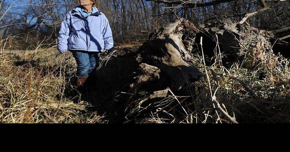 ‘Kids Look To Adults:’ Responding To Child Trauma 50 Years After ...