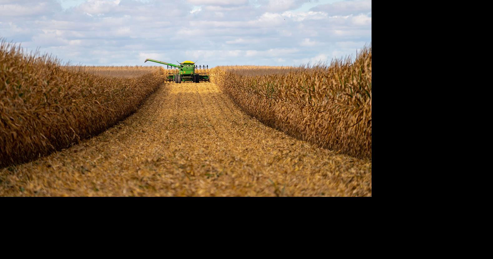 Harvest Is Time For Reflection, Planning | Community | yankton.net