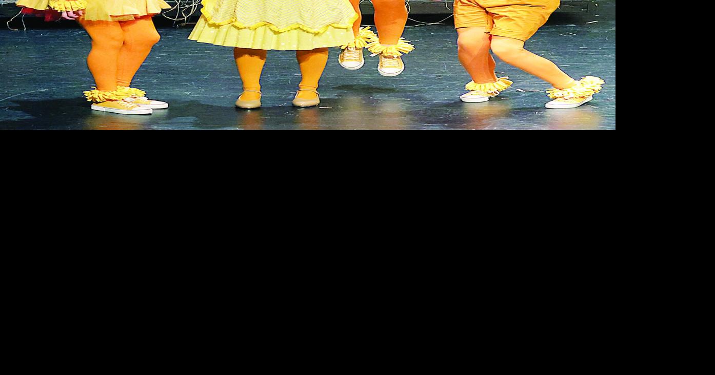 Fowl Play At YHS | Community | yankton.net