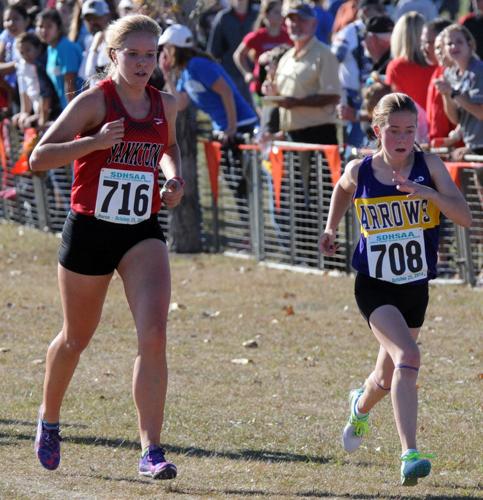 2014 SD State Cross Country | Sports | yankton.net