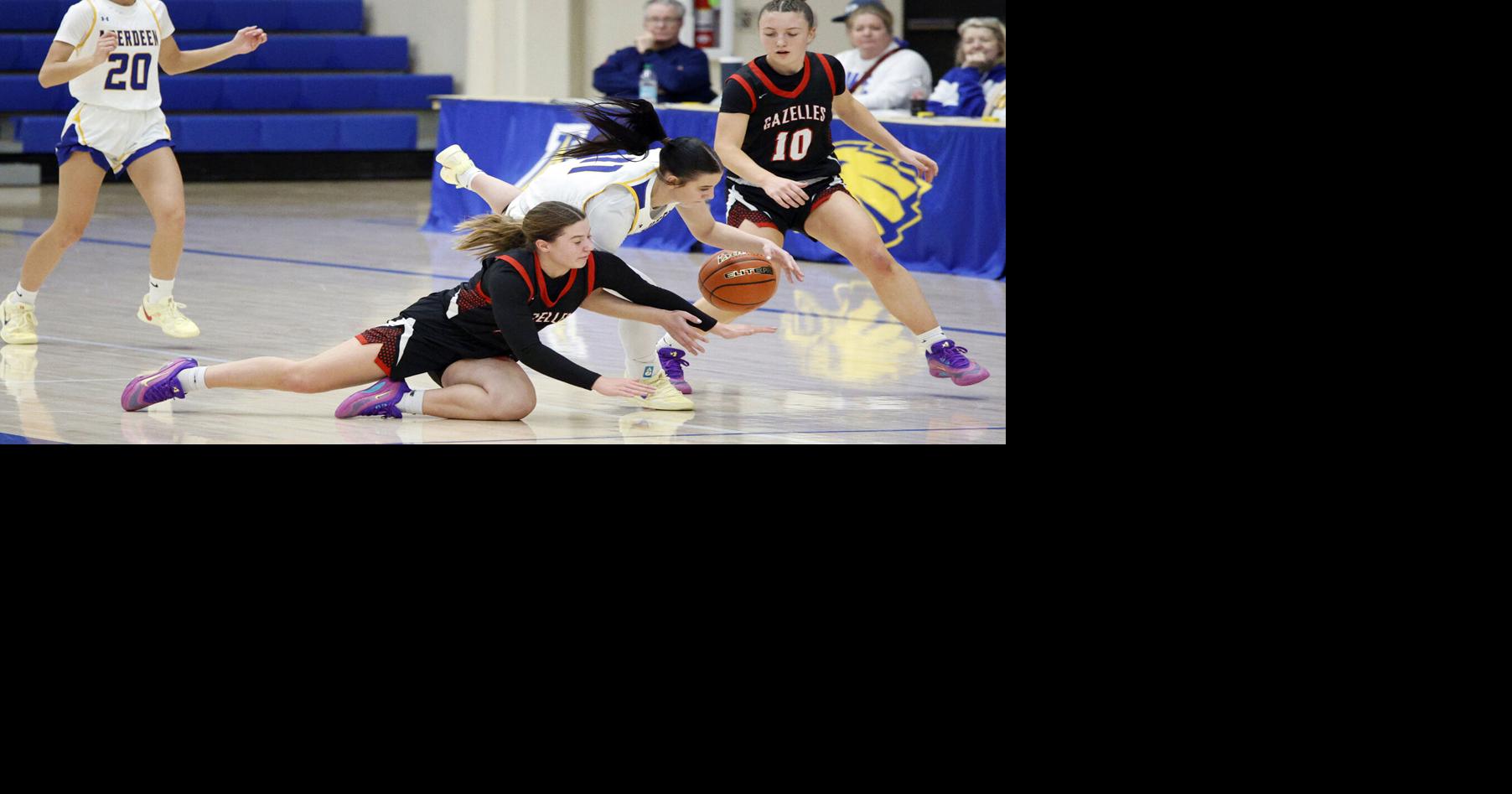 Hermansen Powers Golden Eagles Past Yankton | Sports | yankton.net