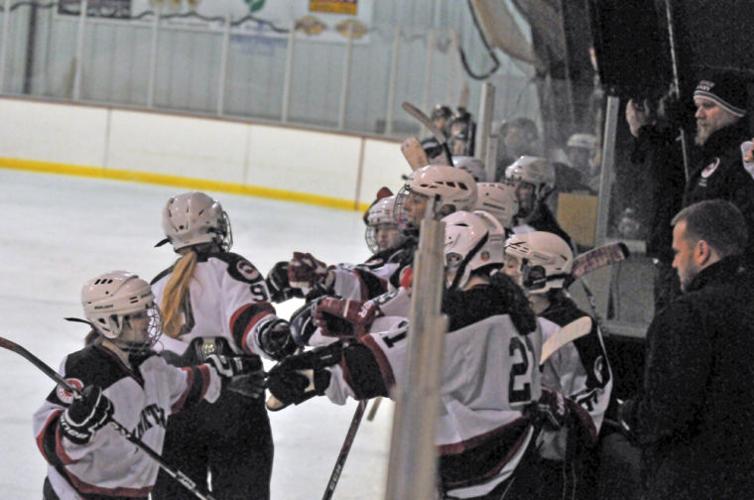 Hockey: Yankton Girls Win, Tie On Weekend | Sports | yankton.net