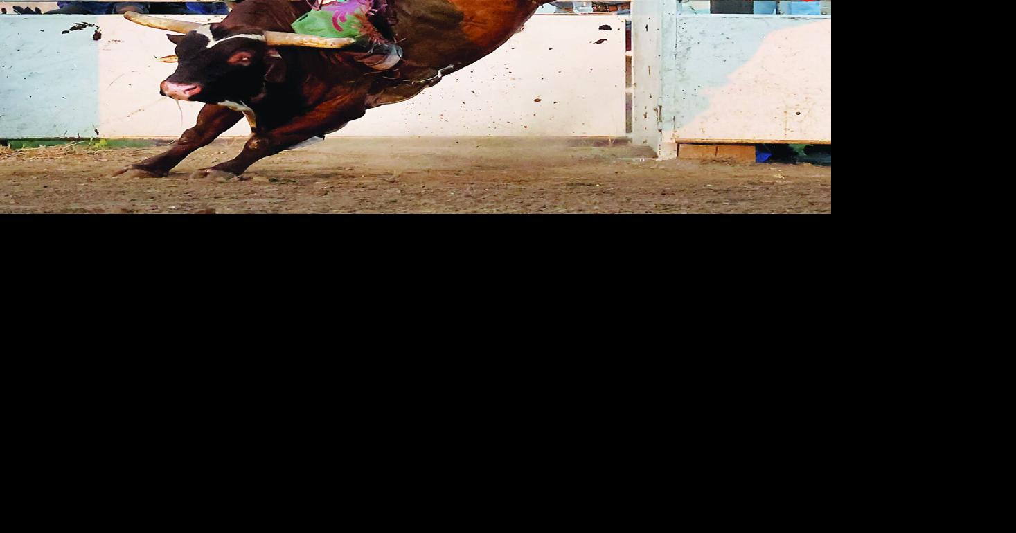 Bull-Riding Competition Bucks Back To Yankton Saturday | Community ...