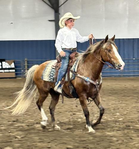 2024 Tri-County 4-H County Horse Show Grows In Numbers | Community ...