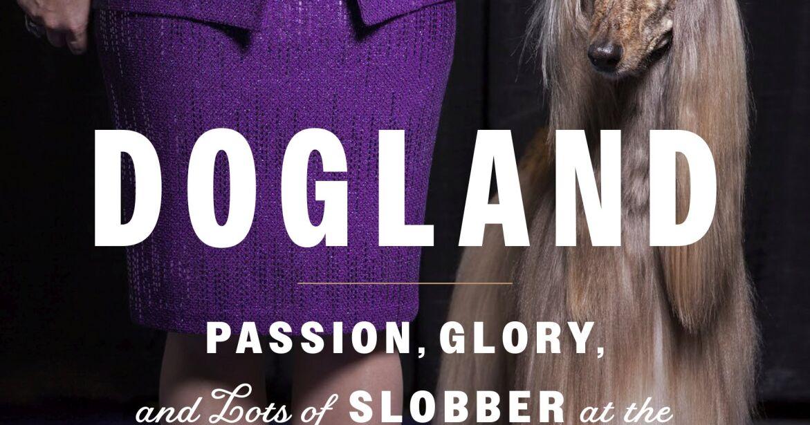 The Bookworm: 'Dogland' Is A Fun Dig Into Dog Shows | Community ...